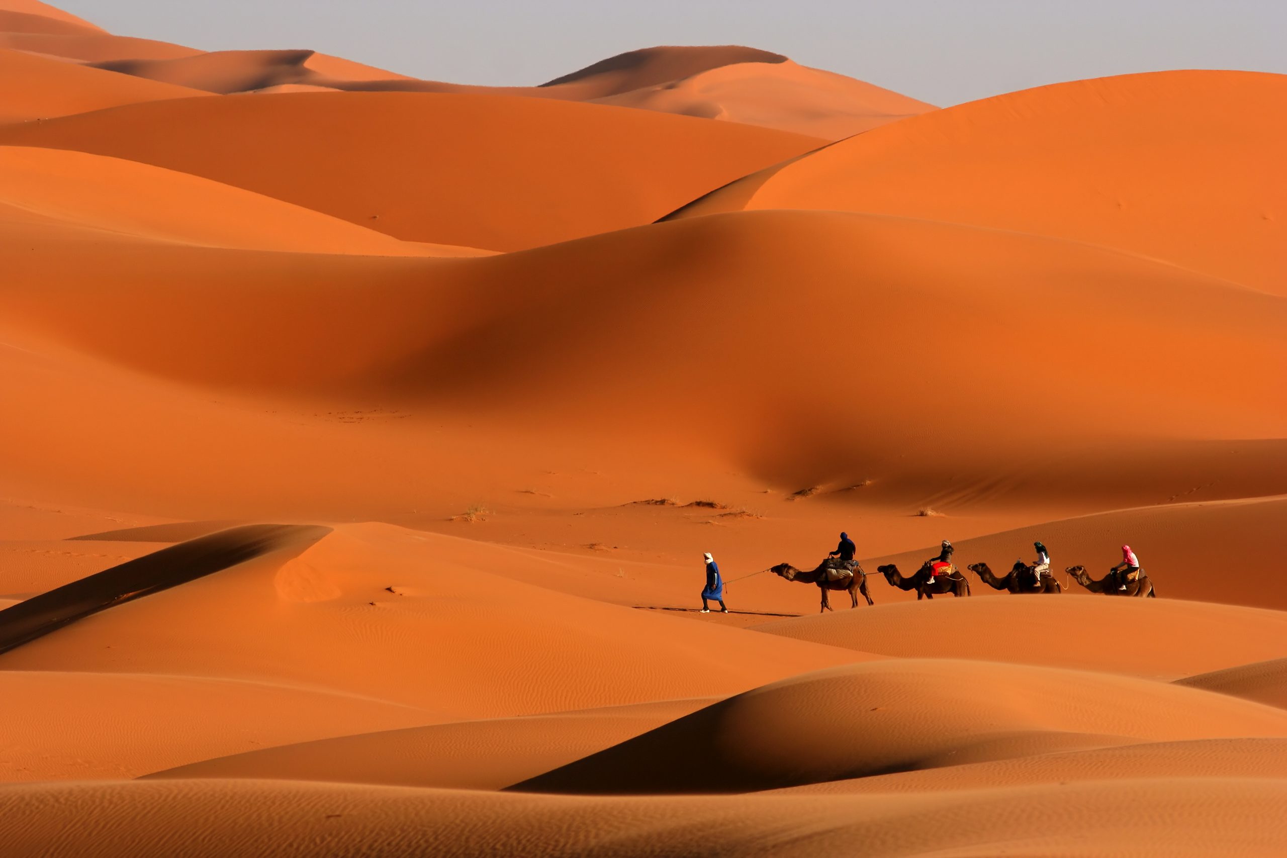 Exploring the Mystical Deserts of Egypt: A Journey Through Sands of ...