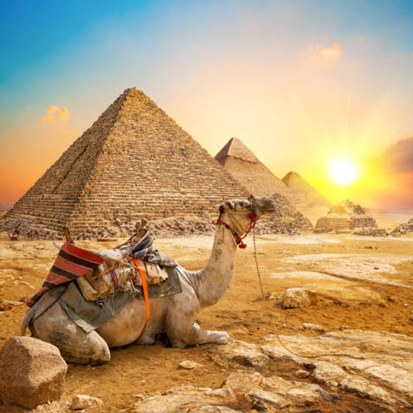 Pyramids Pathway: Explore Ancient Wonders